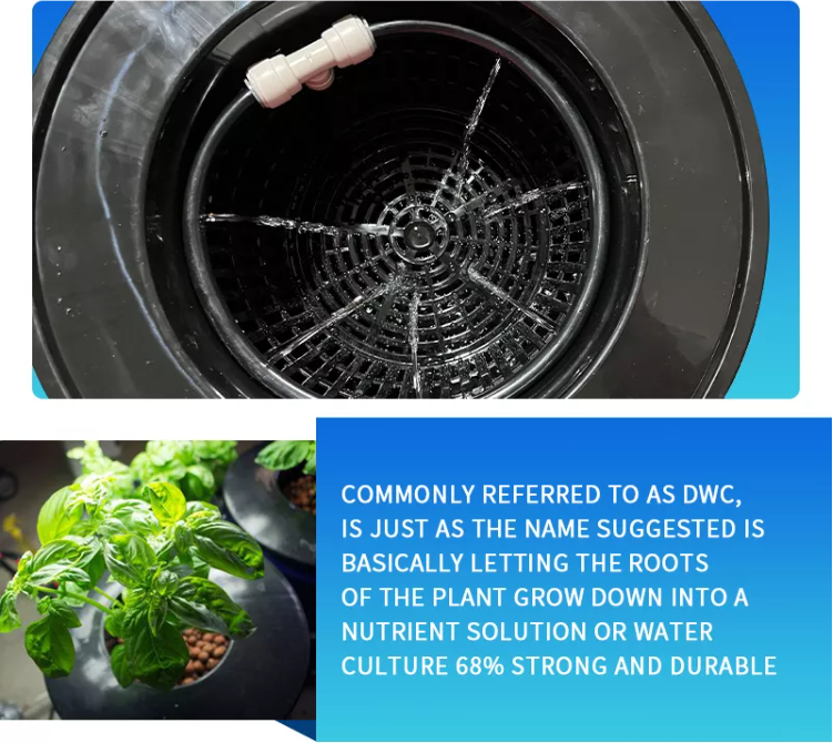 Hydroponics DWC & Drip Recirculating Growing System 4 Plant Buckets Co ...