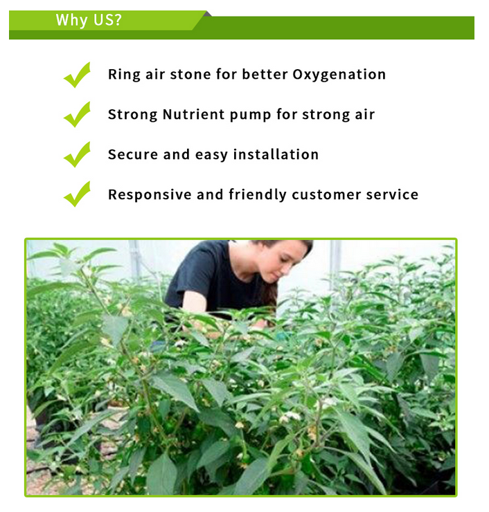 RDWC 7 Pots Cloner Growing Kit DWC Recirculation System Cycle Pump Hyd ...