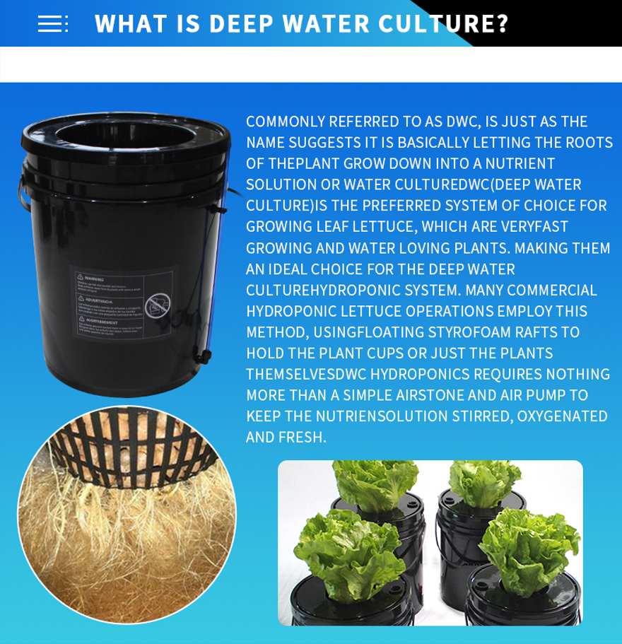 NEW GROZY 20L DWC GROWING SYSTEM DEEP WATER CULTURE HYDROPONICS GROW B ...