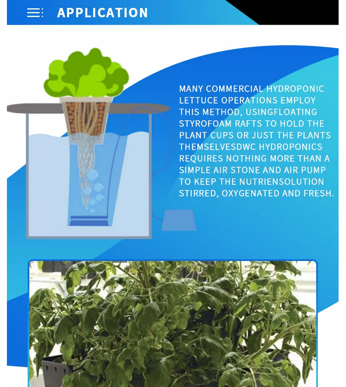 NEW GROZY 20L DWC GROWING SYSTEM DEEP WATER CULTURE HYDROPONICS GROW B ...