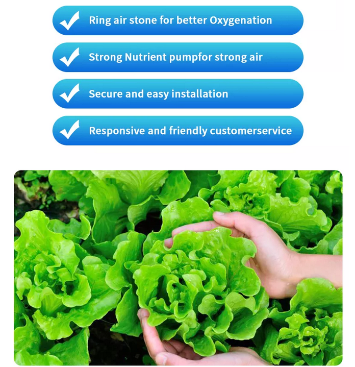 NEW GROZY 20L DWC GROWING SYSTEM DEEP WATER CULTURE HYDROPONICS GROW B ...